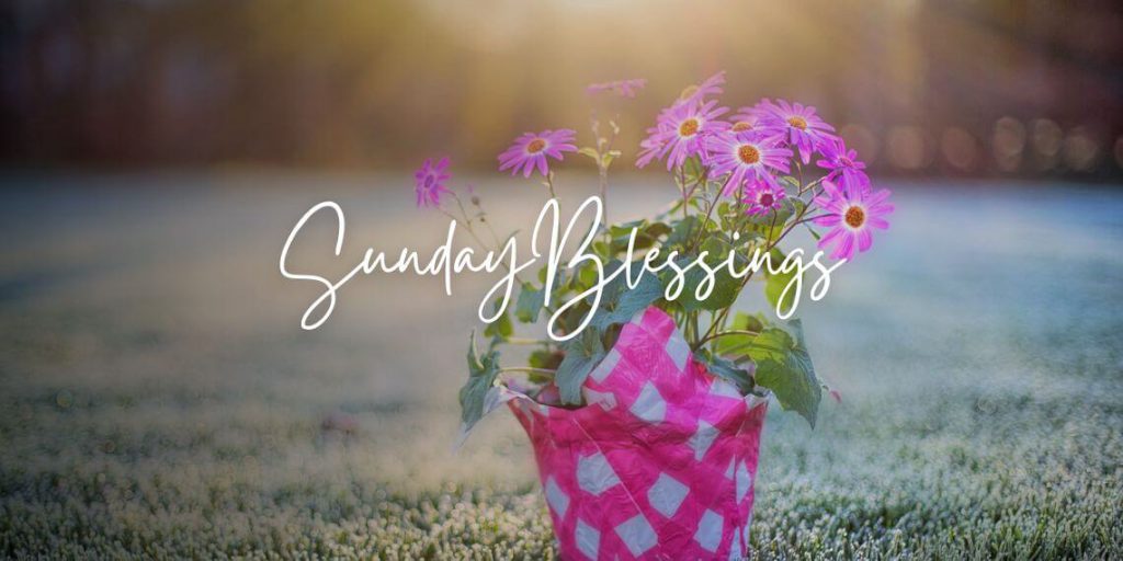 Sunday Blessings for Peaceful and Restful Moments {2025}