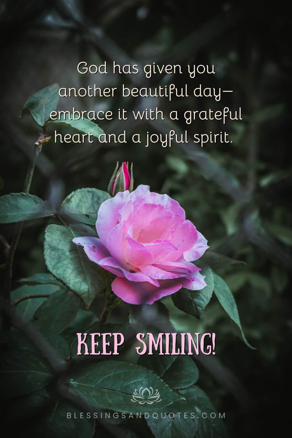 20+ Heartfelt Good Morning Prayers & Quotes to Bless Your Friends