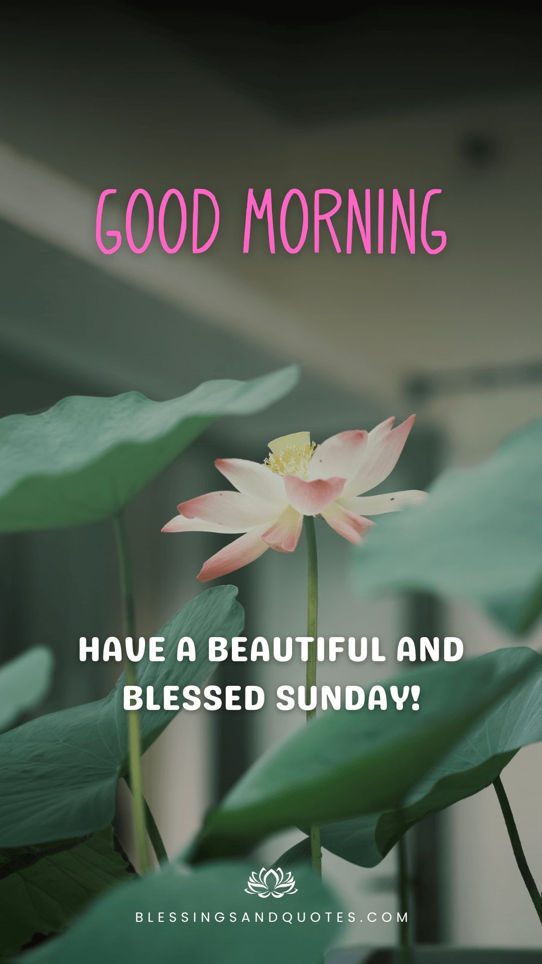 Sunday Blessings Images and Quotes to Uplift Your Heart