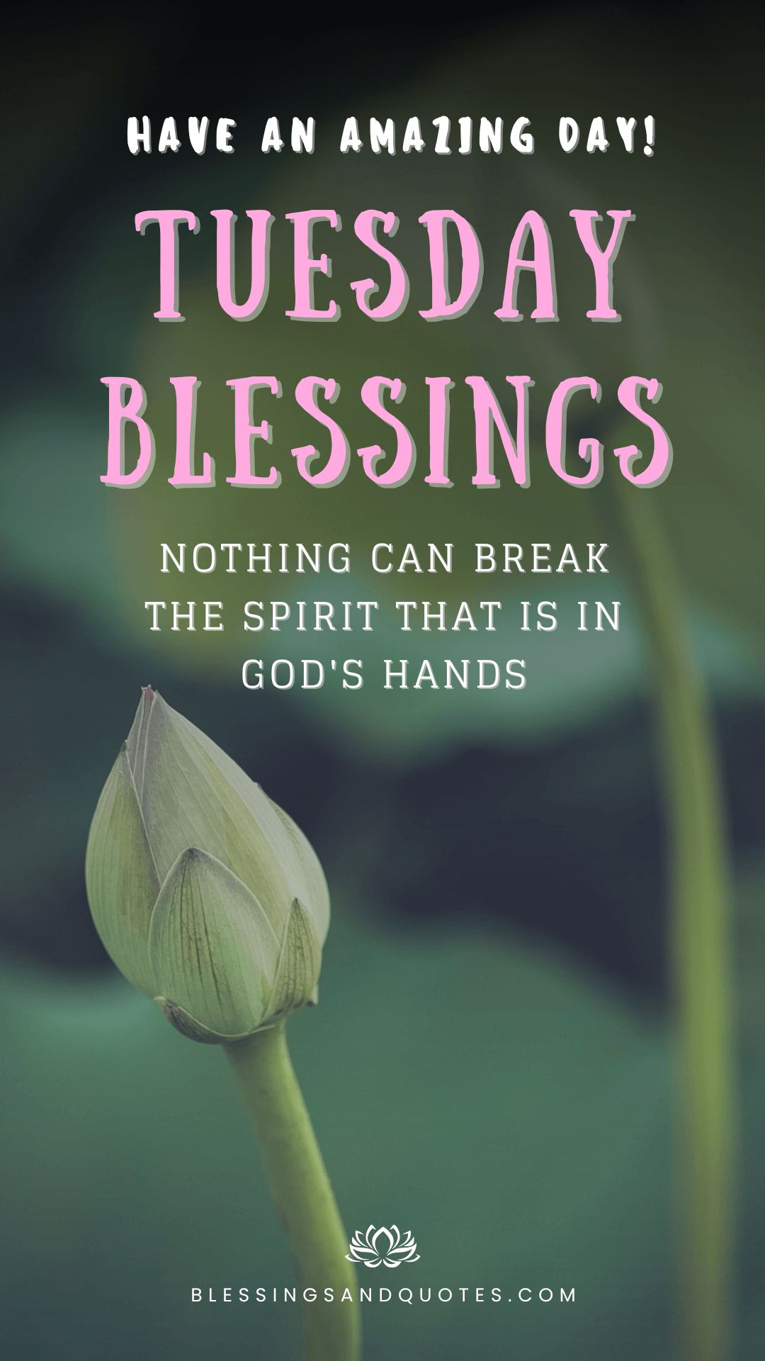 Tuesday Blessings Images and Quotes to Inspire Your Day