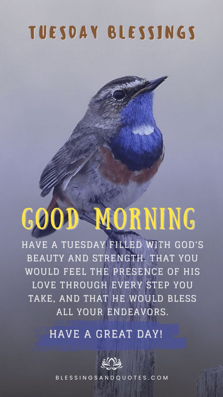 Tuesday Blessings Images and Quotes to Inspire Your Day
