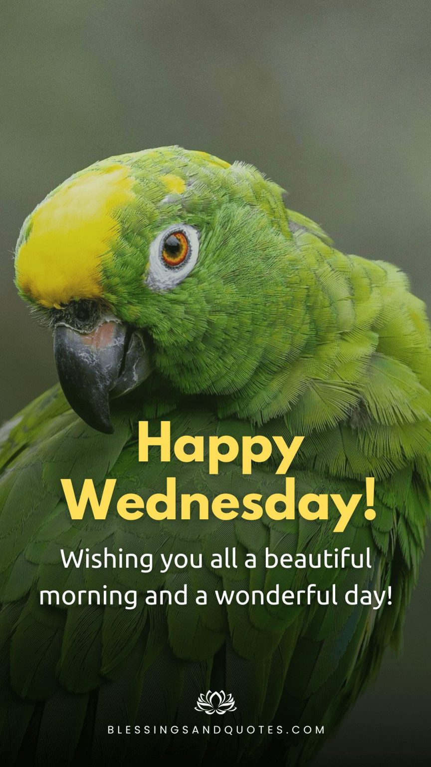 Free Wednesday Blessings Images to Inspire Your Midweek