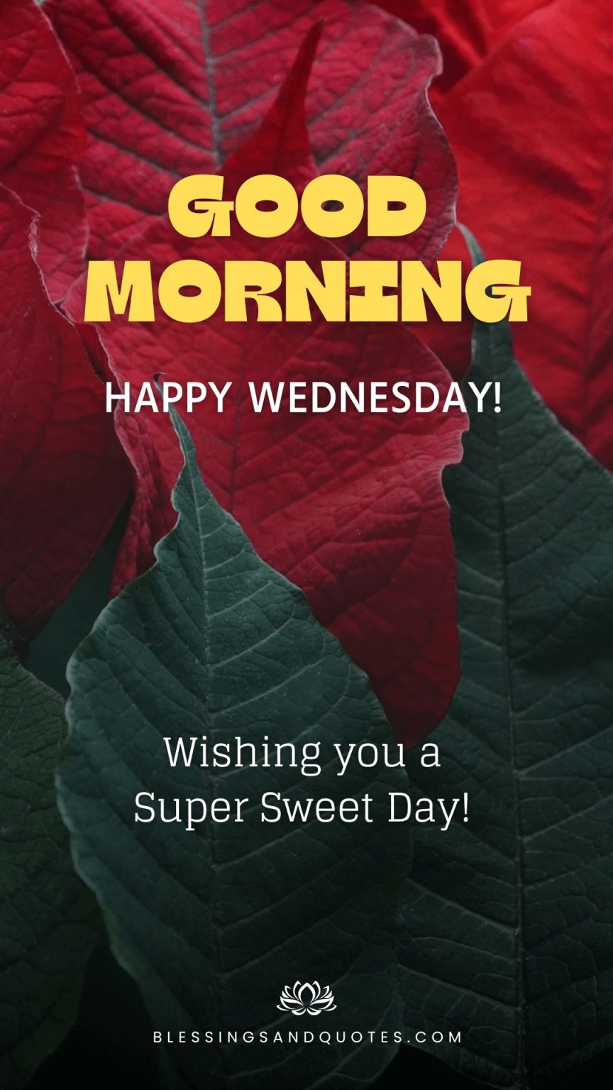 Free Wednesday Blessings Images to Inspire Your Midweek