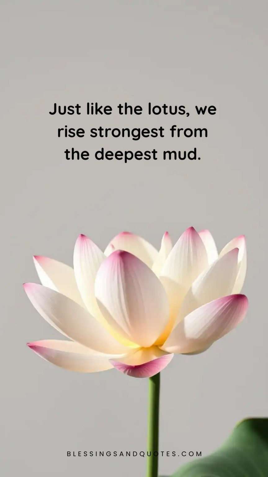 Lotus Quotes: Meaningful, Inspirational, and Spiritual Words for Growth