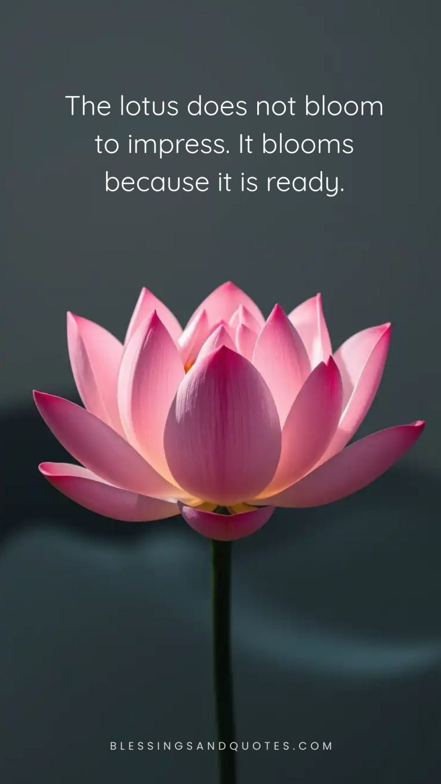 Lotus Quotes: Meaningful, Inspirational, and Spiritual Words for Growth